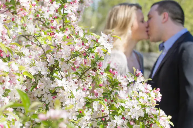 Gorgeous Spring E-session in Central Park - Belle The Magazine